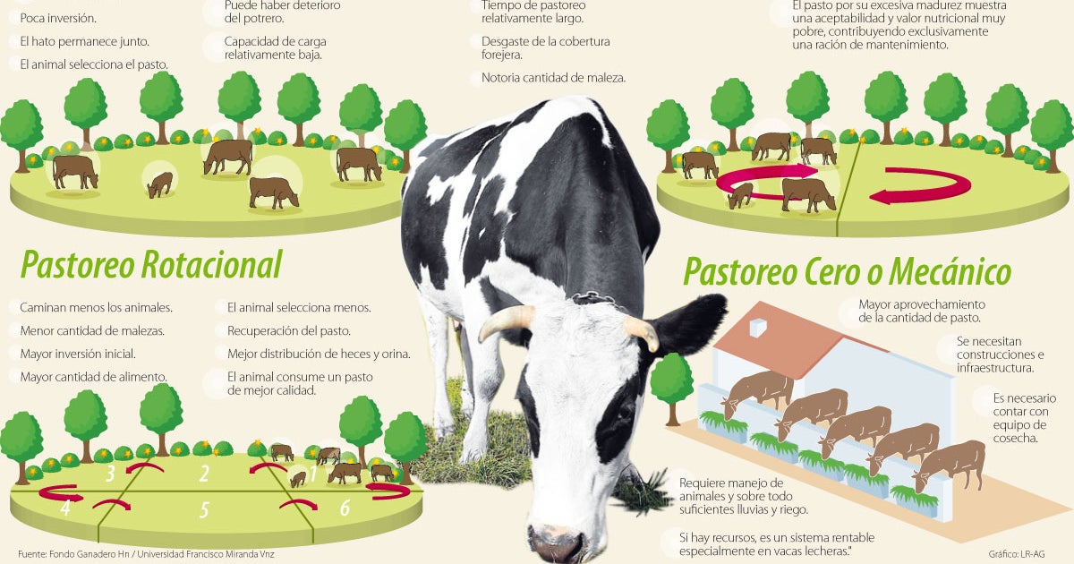 Pastoreo rotacional es el de más bajo costo