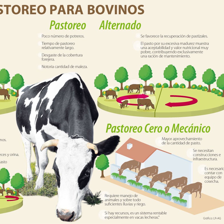 Pastoreo rotacional es el de más bajo costo