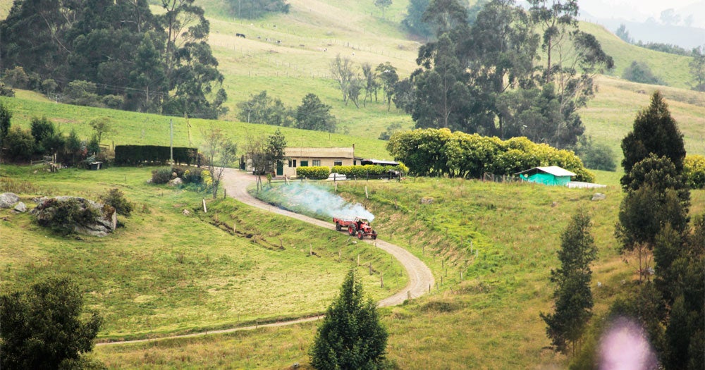 Estas son las claves para convertir su finca familiar en un negocio ...