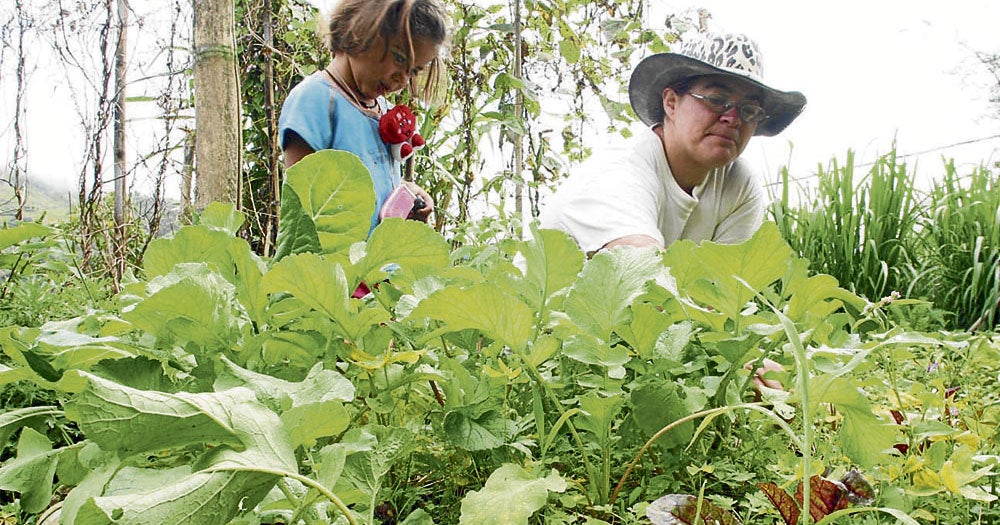 Vecol inicia con las importaciones para bajar costos de los insumos