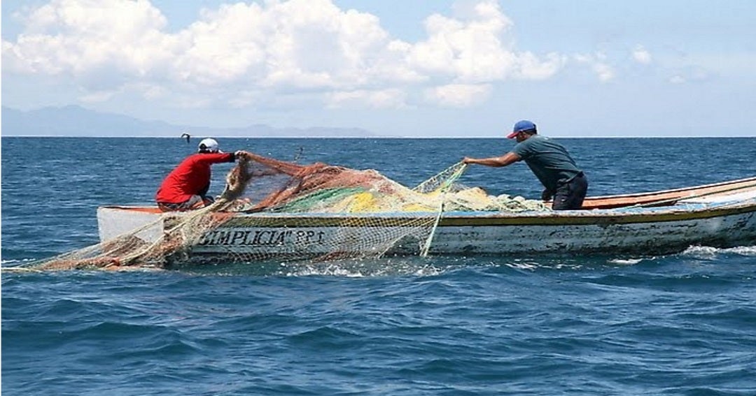 Claves para realizar de mejor manera la pesca deportiva