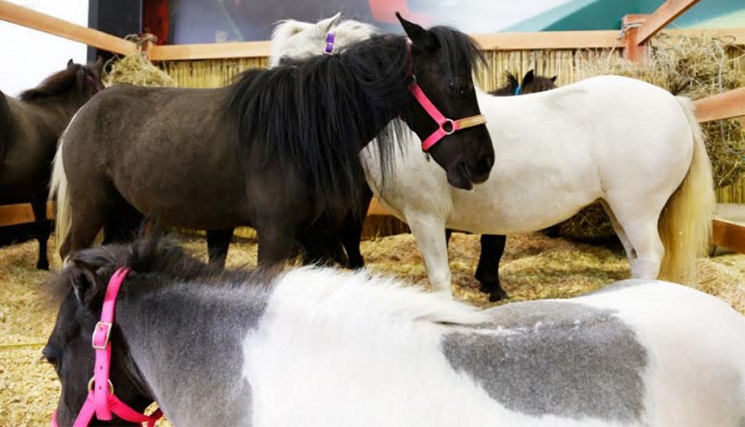 Haga un presupuesto de entre $5 millones y $15 millones si quiere ...