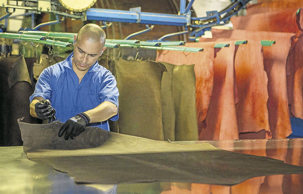 Conozca cómo puede sacarle un mejor provecho al cuero | Agronegocios.co