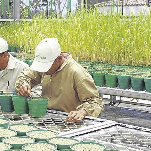 Con AgroVida, Bayer beneficia a más de 18.000 agricultores en el país