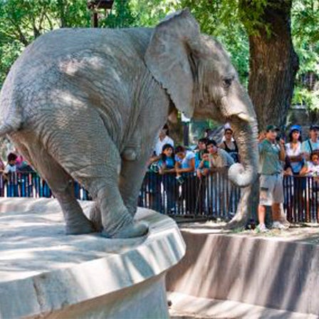 Buenos Aires convierte su zoológico en un ecoparque