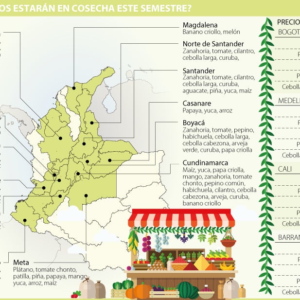Gaste menos comprando los 21 productos que estarán en cosecha este semestre