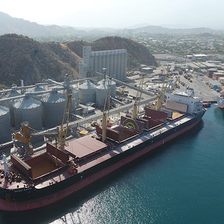 Spar Pavo se convirtió en el buque con mayor carga de granel en llegar ...