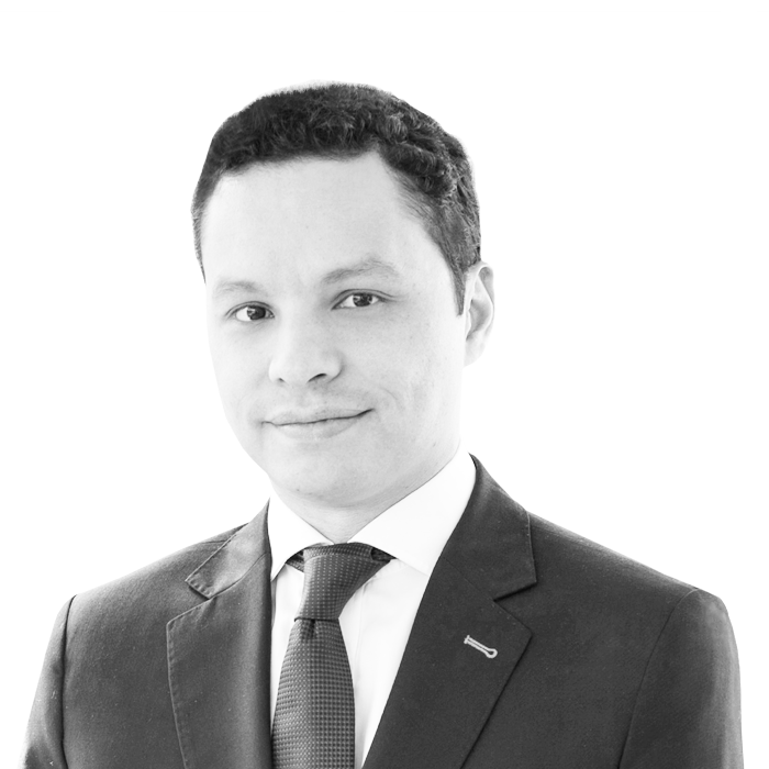 Los límites al poder del accionista mayoritario