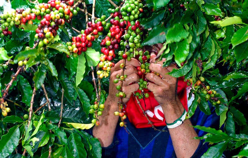 El repase, una actividad que debemos hacer para manejar la broca ...