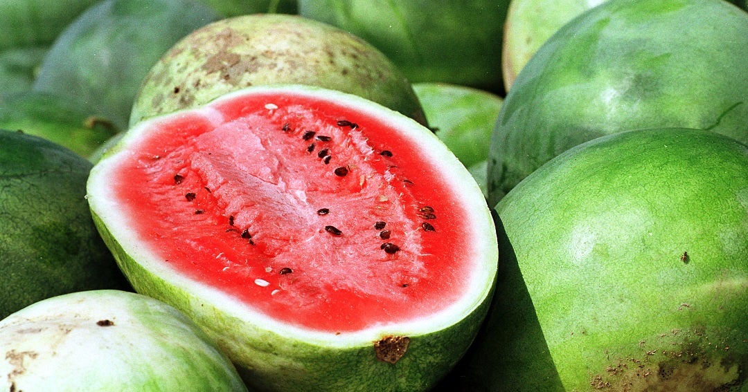 El departamento de Meta es la despensa de patilla con 2.125 hectáreas ...