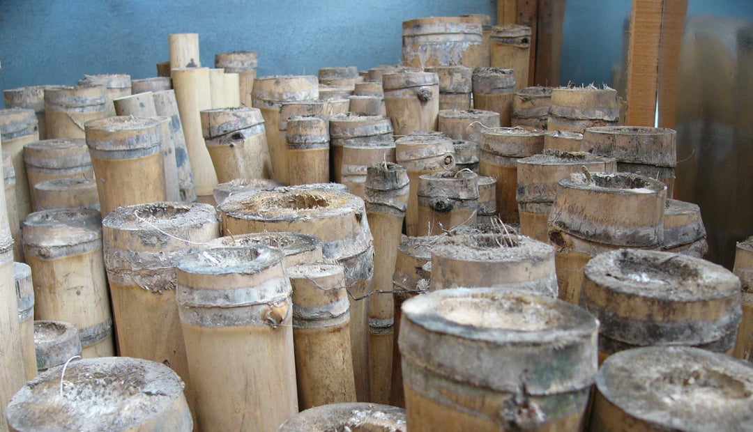 En Colombia existen actualmente 55.000 hectáreas de guadua ...