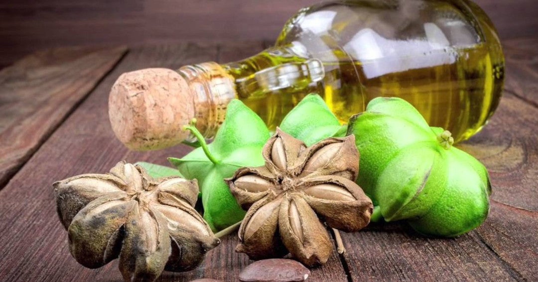 Sacha inchi es uno de los cultivos más fuertes y con potencial de ...