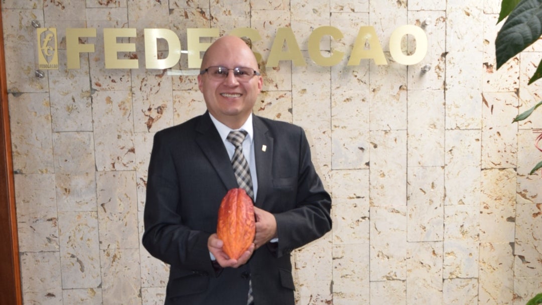 Arveja verde - Detalles del Precio | Agronegocios.co