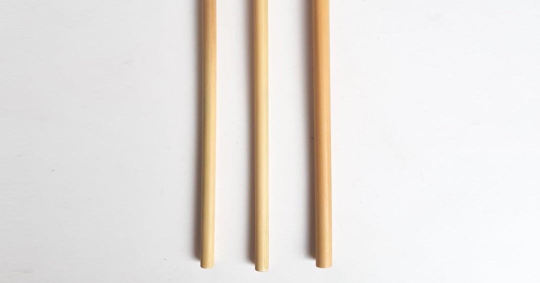 Conozca algunas alternativas que las empresas usan para reemplazar los ...