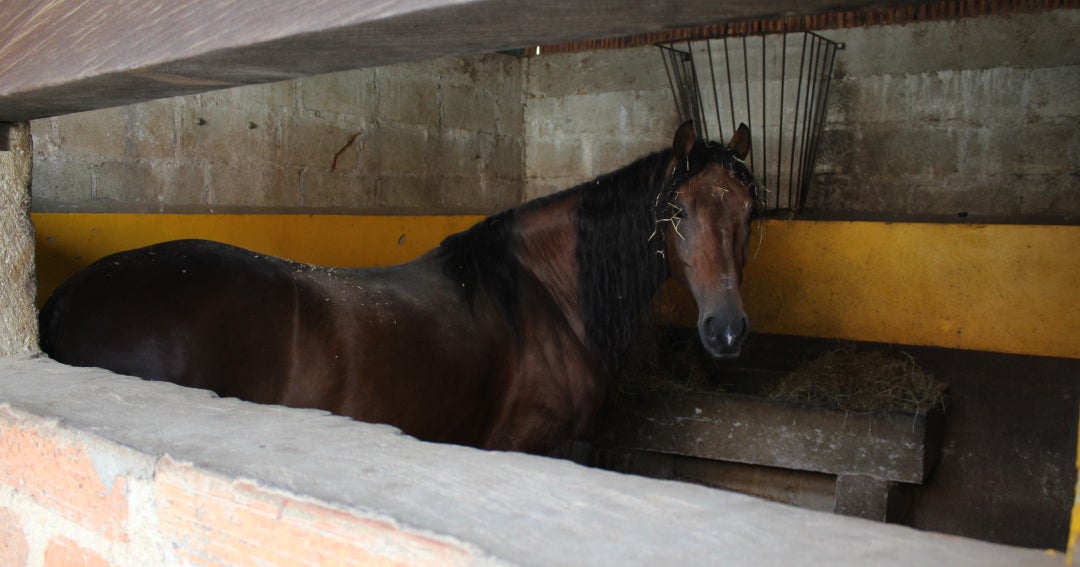 Tenga en cuenta el presupuesto desde $1,5 millones en el servicio de ...