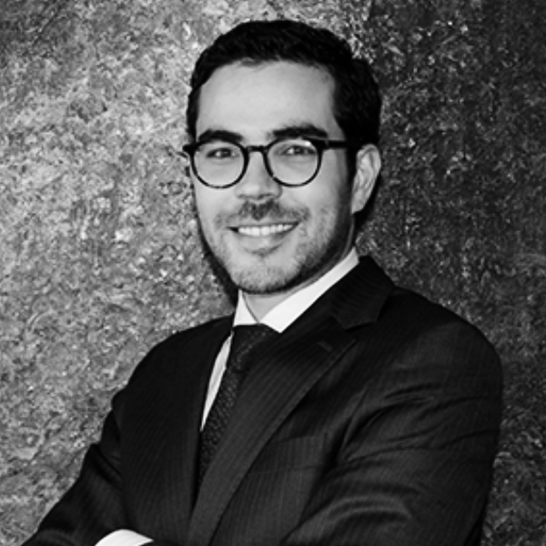 Daniel Gómez González, Análisis legal, judicial y el impacto de las ...