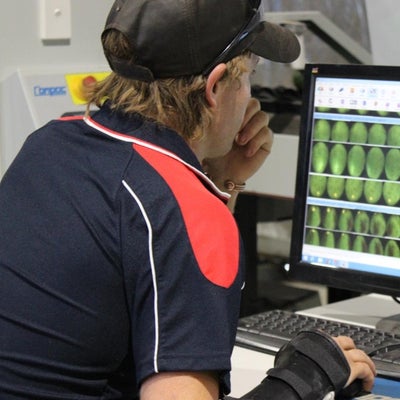 Tecnología Inspectra permite fotografiar el interior de las frutas sin ...