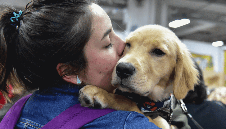 Enfermedades De La Piel En Perros Y Gatos