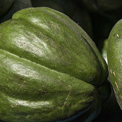 Solo se producen 5.540 toneladas de guatila, una fruta con altos ...