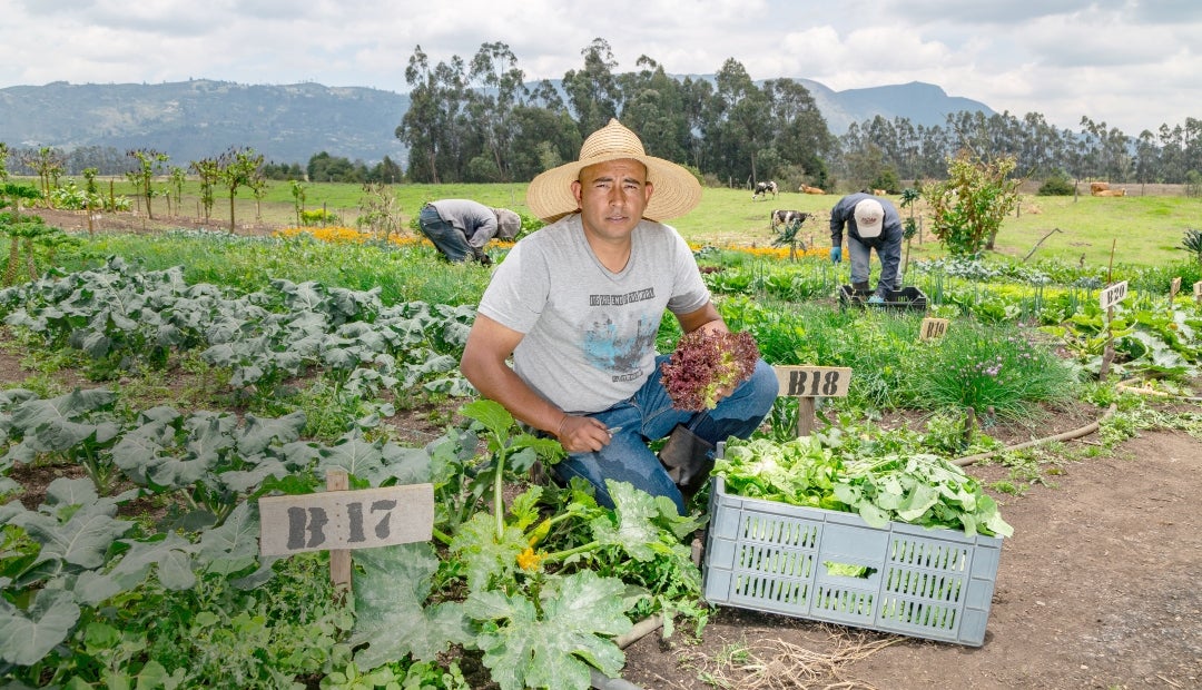El auge de las granjas integrales y autosuficientes en Colombia y sus ...
