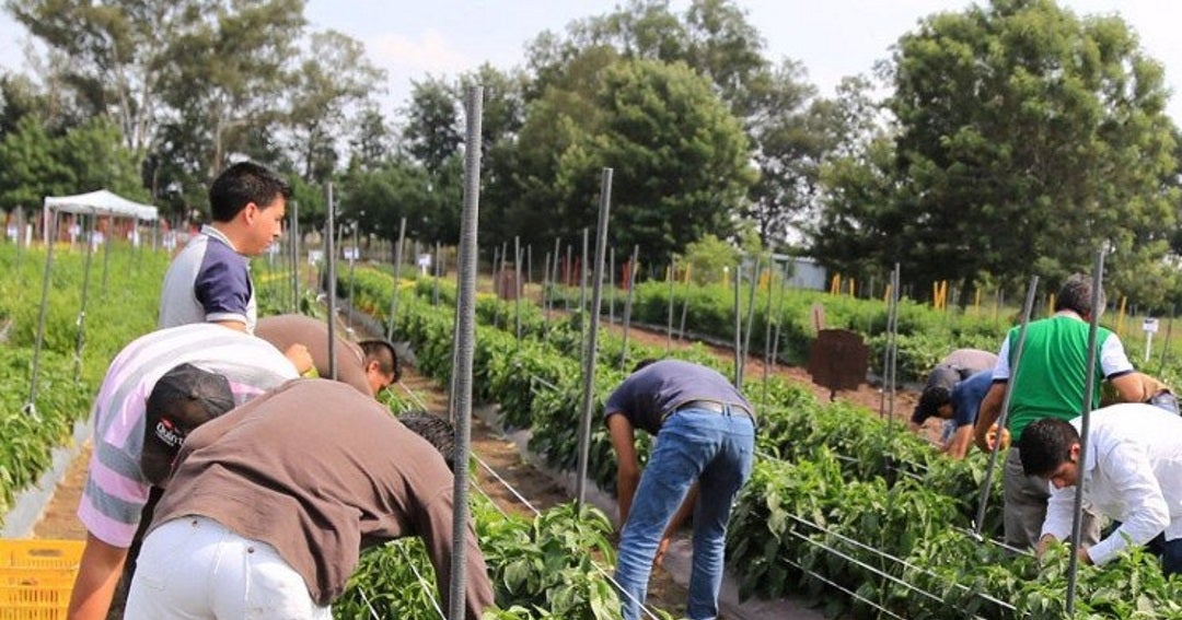 Yara pide reducir los niveles de emisión en la industria agropecuaria