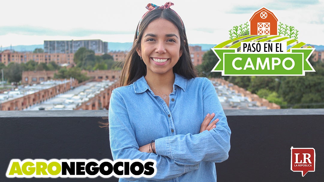 Coco - Detalles del Precio | Agronegocios.co