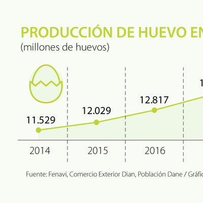 Recomendaciones para emprender un negocio de producción de huevos en el ...