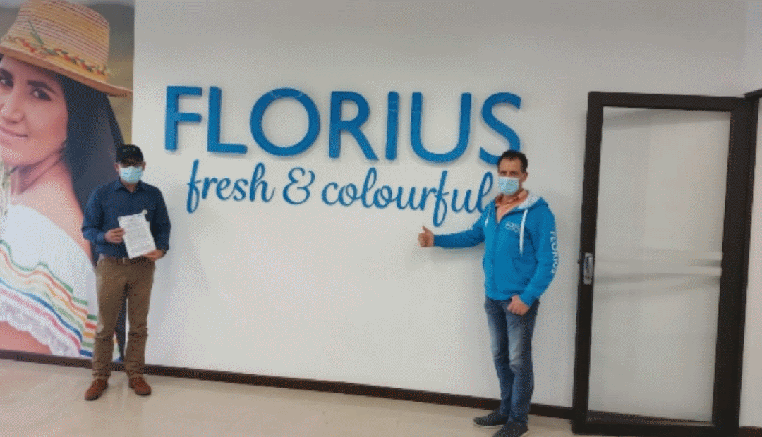 Florius S.A.S fue certificada como exportador de ornamentales y ...