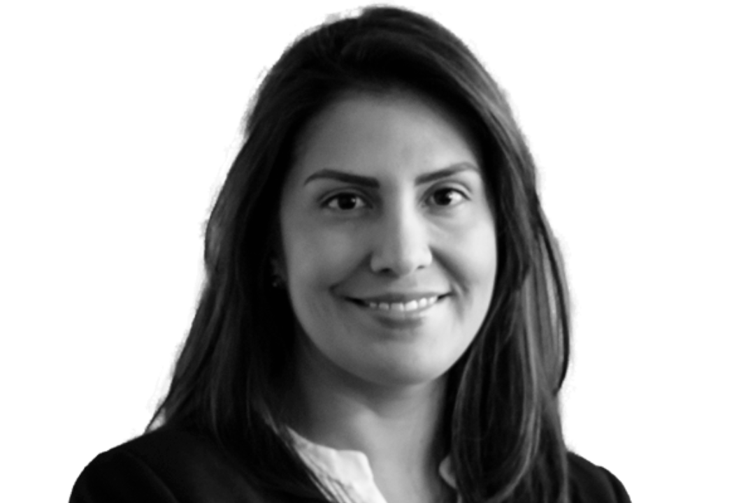 Gobierno corporativo, plan de sostenibilidad en las startup ...
