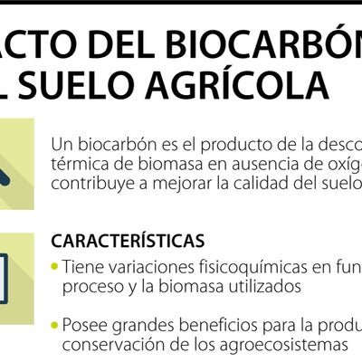 Biocarbones, eficaces para aprovechar los residuos agrícolas en el ...