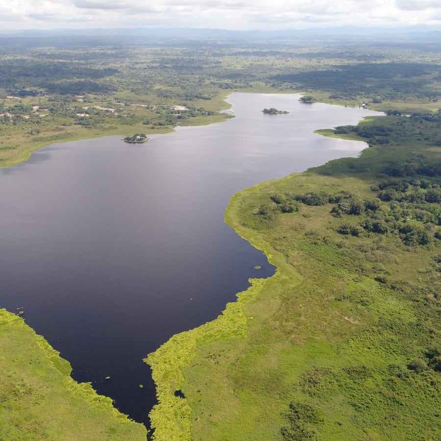 Mansarovar Energy realiza limpieza y remoción de la tarulla a la ...