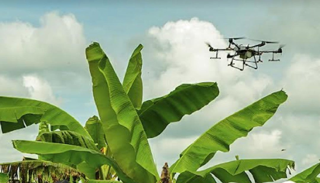 Fedearroz y Drone Innovation apuestan al crecimiento del sector con uso ...