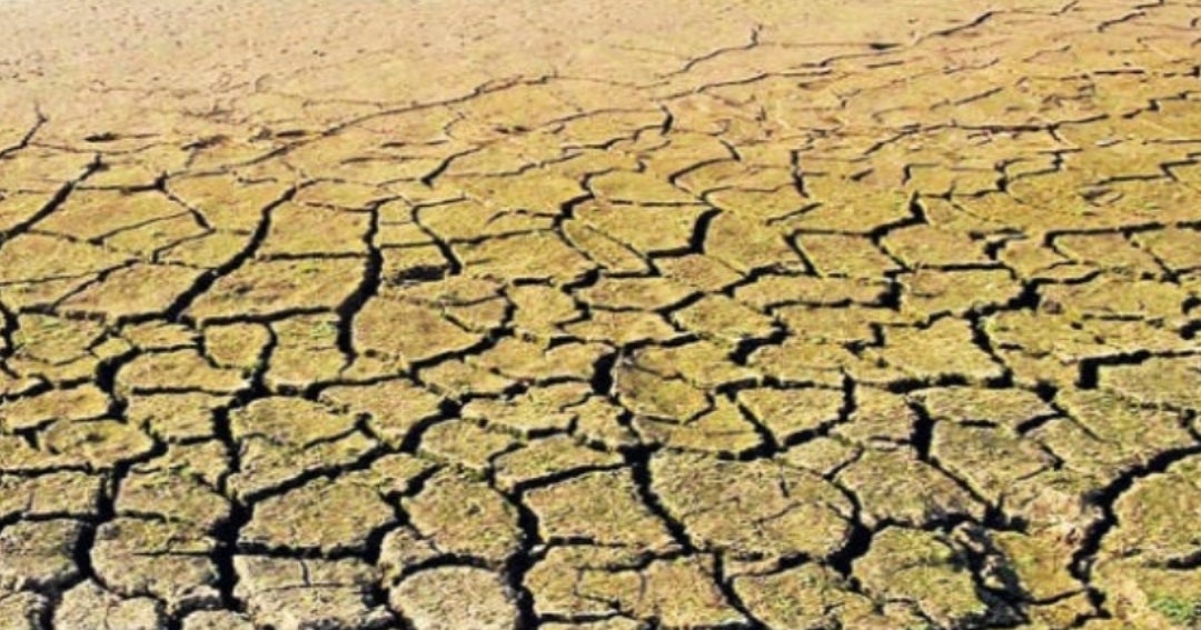 Las sequías extremas registradas en varios países aumentan la presión ...