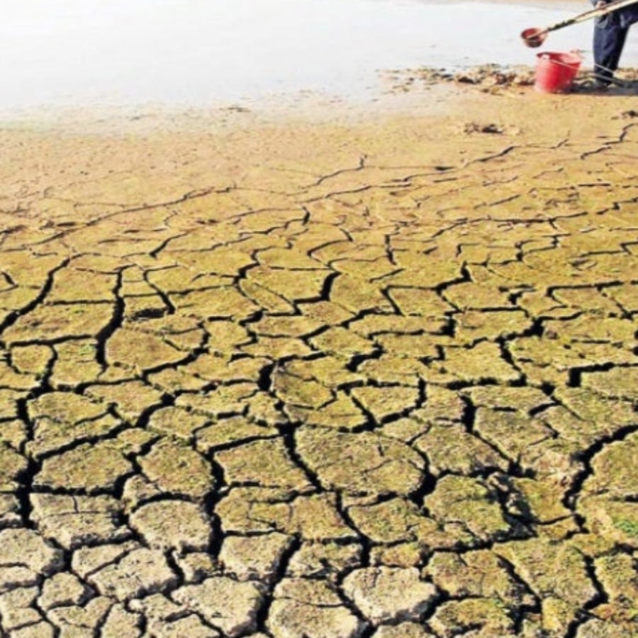 Las sequías extremas registradas en varios países aumentan la presión ...