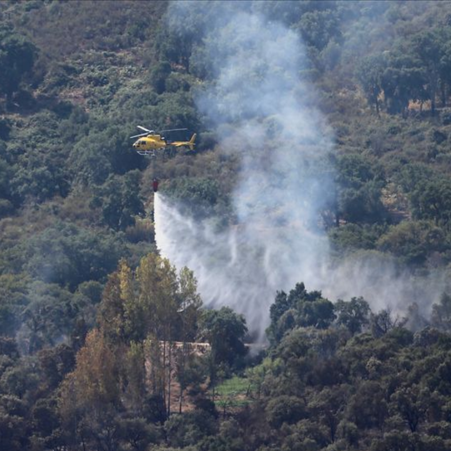 Incendios forestales en Colombia caen 70% en primeros 30 días frente a ...