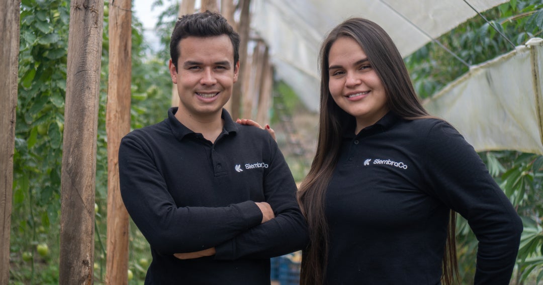 "En SiembraCo el cliente cultiva de manera virtual y recibe la cosecha en su domicilio"