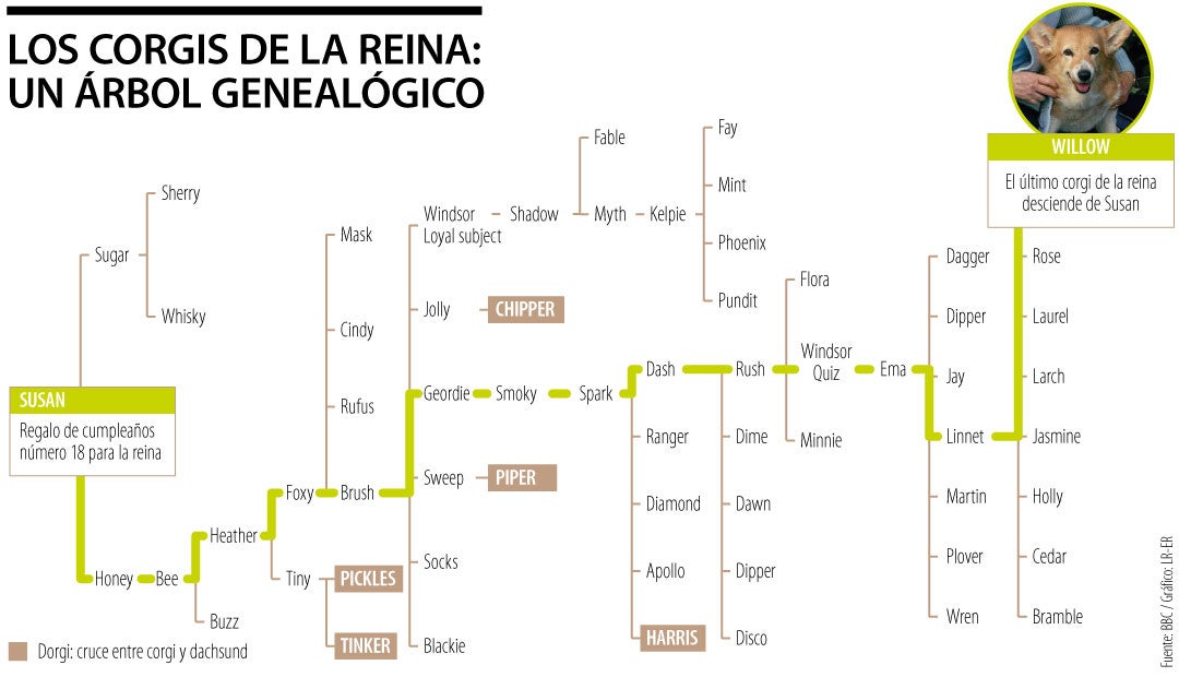 Los perros corgi, la raza preferida durante 80 años por la reina Isabel ...