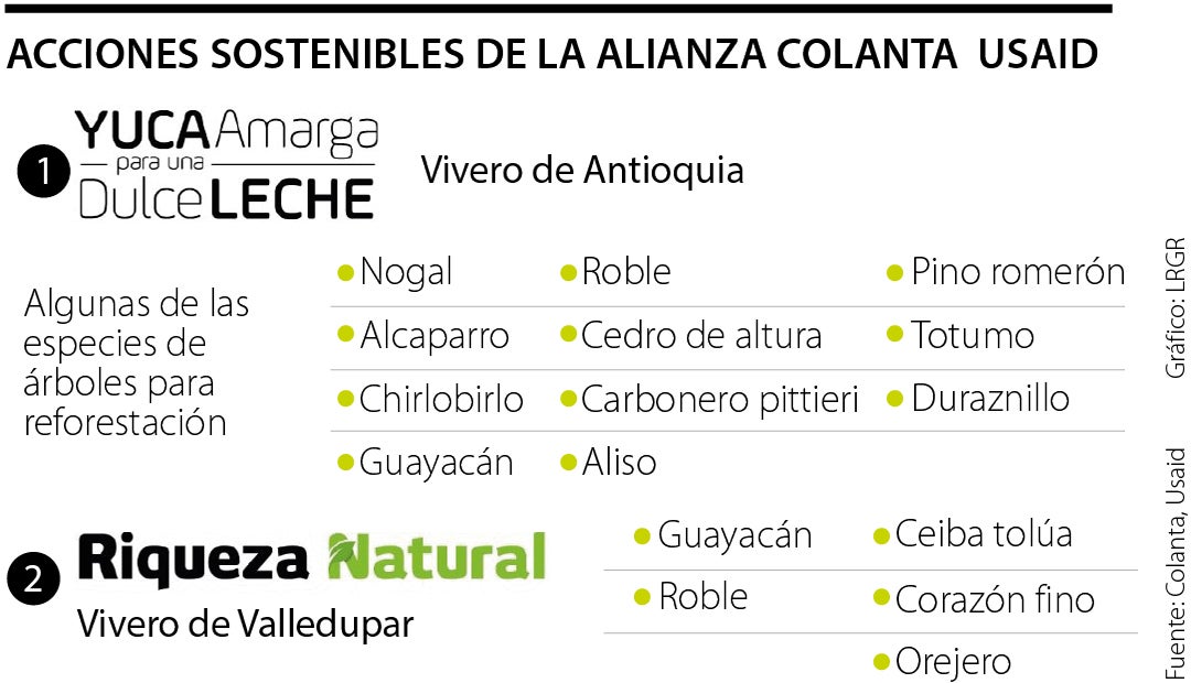 Los proyectos de reforestación de Colanta-Usaid para desarrollar ...