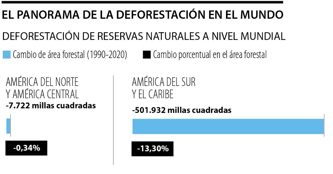 Brasil, Bolivia y Perú, los países con más índices de deforestación en ...