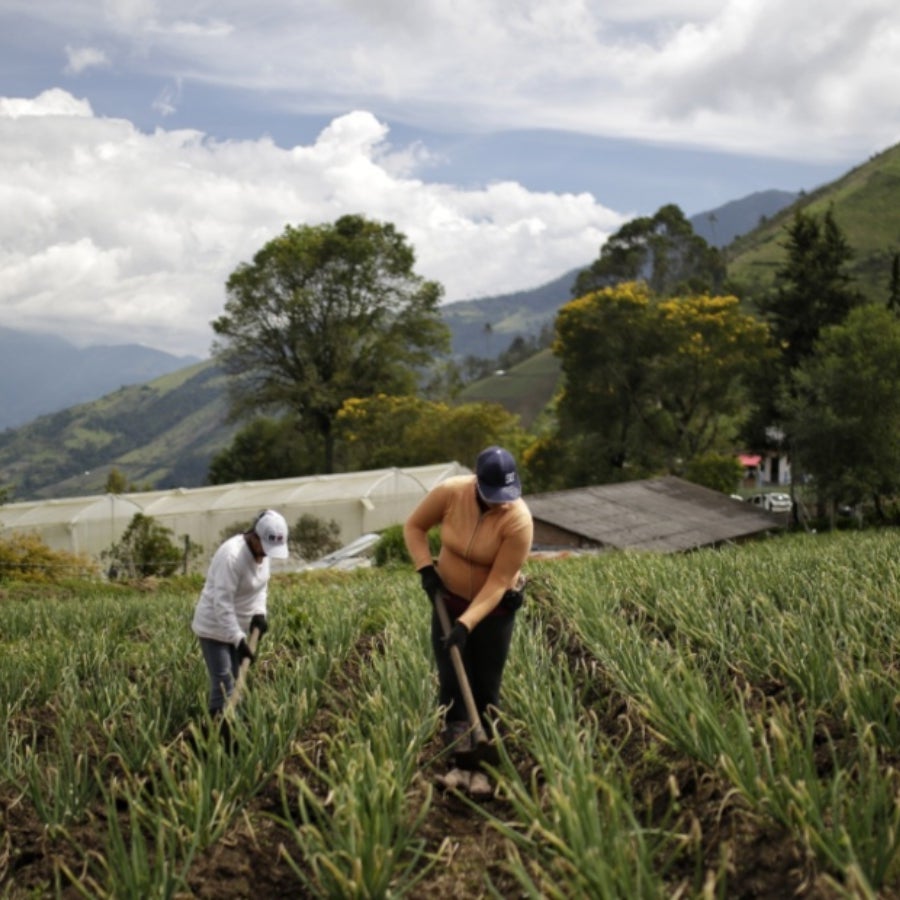 Inversión en la economía rural mejora los flujos migratorios según el ...