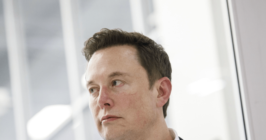 Elon Musk está buscando nuevos inversores para Twitter al mismo precio ...
