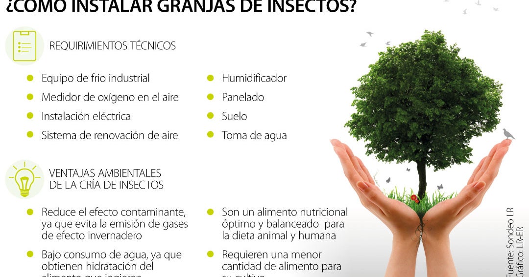 De esta forma puede utilizar de manera beneficiosa a los insectos en la ...