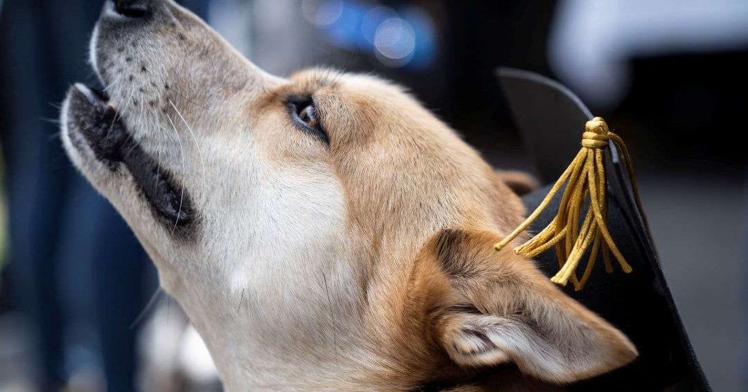 Conozca cuáles son las causas, síntomas y cómo es el tratamiento del ...