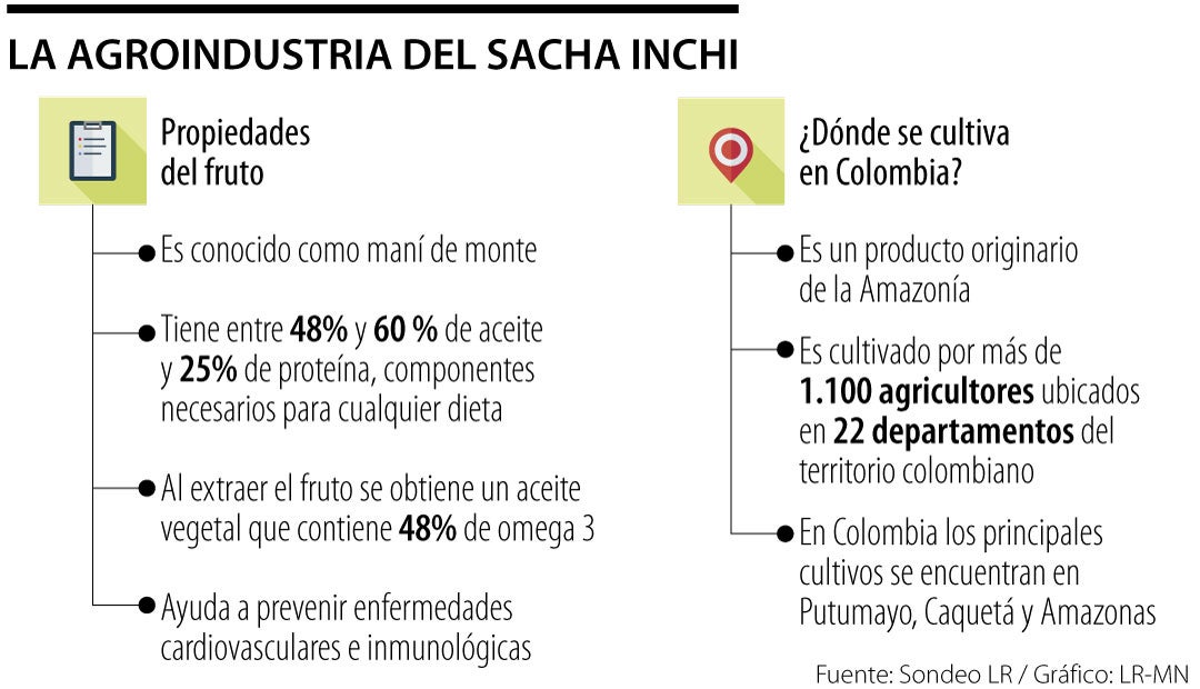 El sacha inchi, un fruto amazónico que permite crear harinas y ...