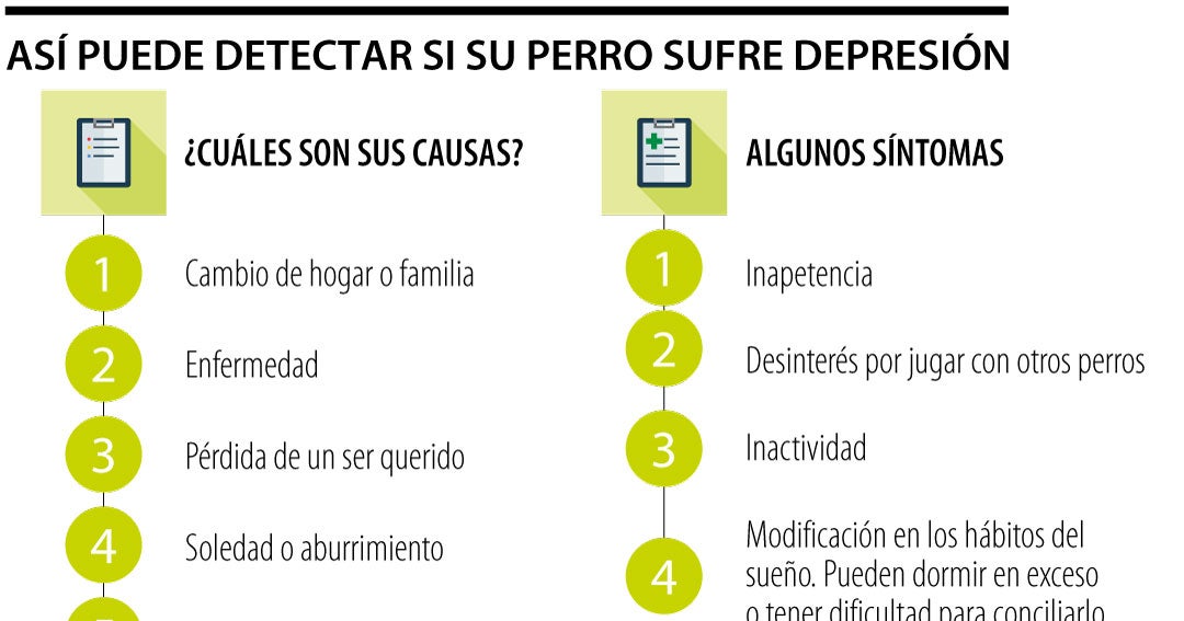 Conozca cuáles son las claves para identificar los síntomas de que su ...