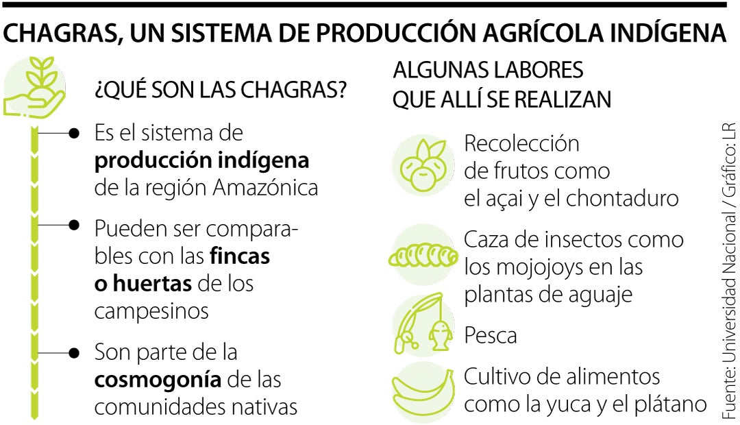 Las chagras, un sistema de producción agrícola que refleja la ...