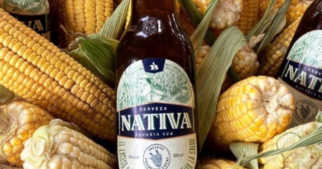 Bavaria lanzó al mercado "Nativa Sur", cerveza a base de maíz amarillo ...