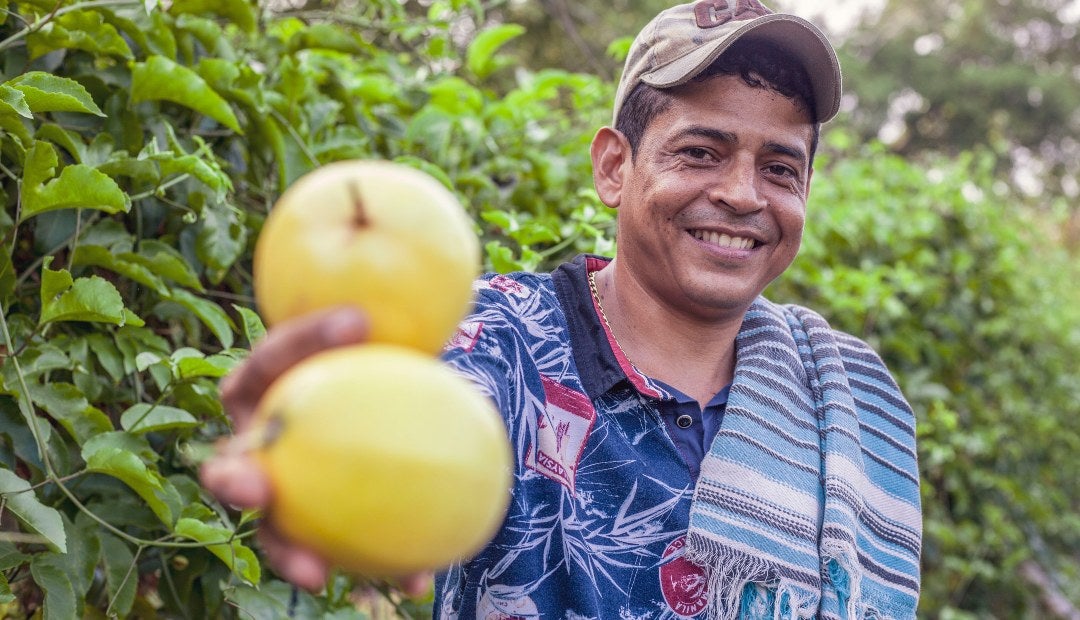 Meraki Fruits, una compañía exportadora de frutas que conquistó a ...