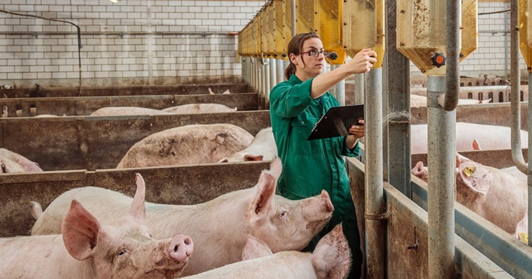 Estas son las claves para sacarle el jugo a la bioseguridad en sus ...