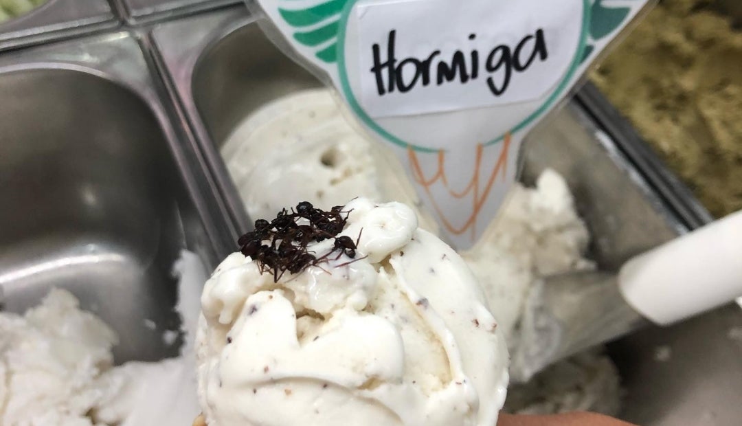 Helado de hormiga, mojojoy y marañón, algunos de los sabores amazónicos ...